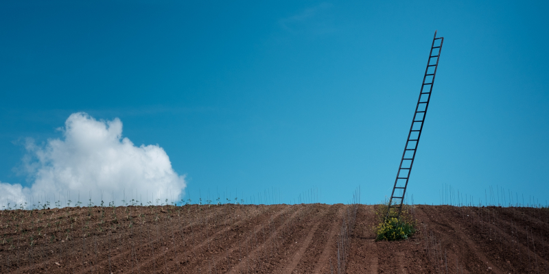 Watch That Next Step (CEO Problems) - Ed Batista