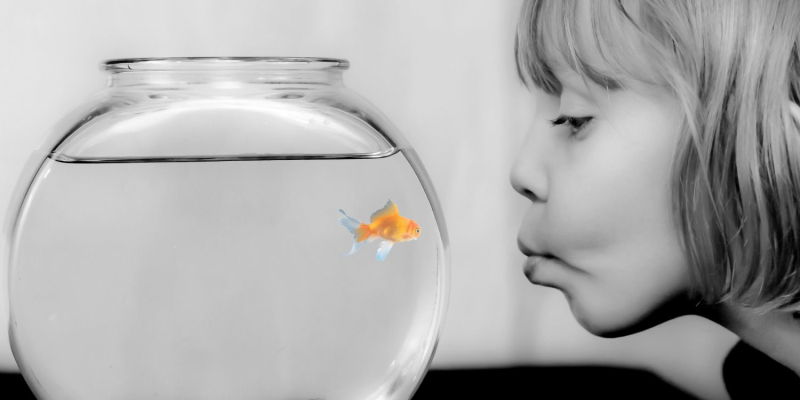 Fishbowl Coaching (A Group Exercise) - Ed Batista