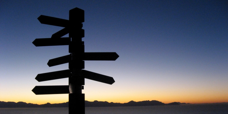 The Ambiguous Role of Executive Chair - Ed Batista